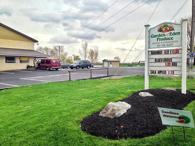 Garden of Eden Produce sign promises earthly delights with heavenly flavors, where seasonal fruits announce their arrival on a roadside marquee.