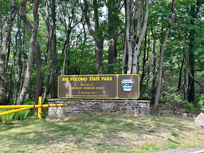 The entrance sign makes it official: you've left ordinary life behind and entered a realm where oxygen seems fresher and problems seem smaller.