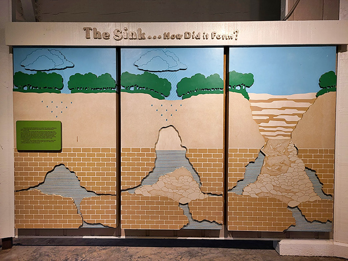 "The Sink... How Did it Form?" A graphic that explains millions of years of geology without requiring a PhD to understand it.