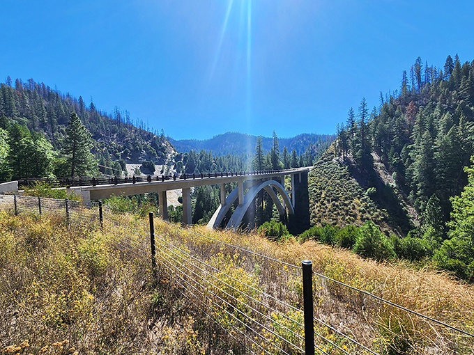The Feather River Canyon bridge isn't just engineering&mdash;it's poetry in concrete, connecting not just two sides of a gorge but past and present.