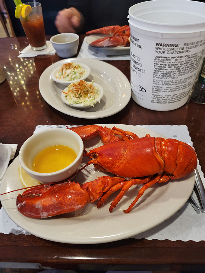 A perfectly steamed lobster, ready for its butter bath. Nature's puzzle box of deliciousness that rewards those willing to work for their meal.
