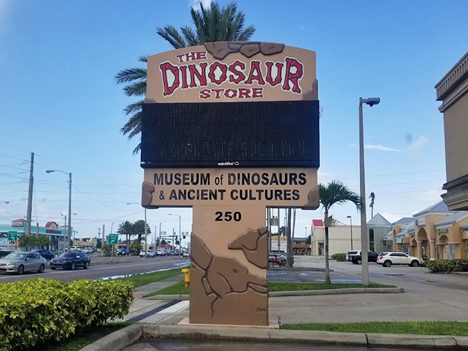 The roadside sign beckons dinosaur enthusiasts and curious travelers alike. In Florida's sea of beach attractions, this prehistoric island stands proudly apart.
