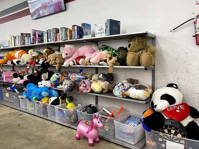 An army of stuffed animals stands at attention, each with that "please take me home" look perfected over decades of toy manufacturing.