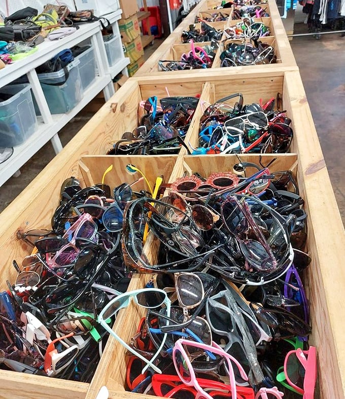 Sunglasses galore! Each pair in this wooden treasure chest once shielded someone's eyes from Florida sunshine—now awaiting new adventures.
