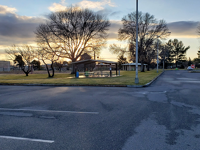 A Sierra Vista sunset paints the sky in watercolor hues, transforming ordinary park shelters into silhouettes worthy of a gallery wall.