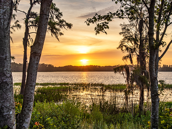 Nature's nightly masterpiece doesn't require tickets or reservations. Lake Louisa sunsets perform daily, free of charge, no two alike.