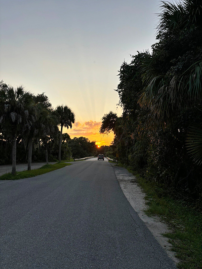 Florida sunsets &ndash; nature's way of saying tomorrow deserves another chance. The perfect finale to a day of wild discoveries.