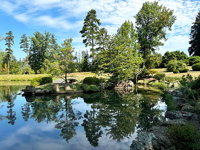 Reflections in still water at Dawes Arboretum create nature's perfect mirror image. Twice the trees, double the tranquility, no Instagram filter needed.