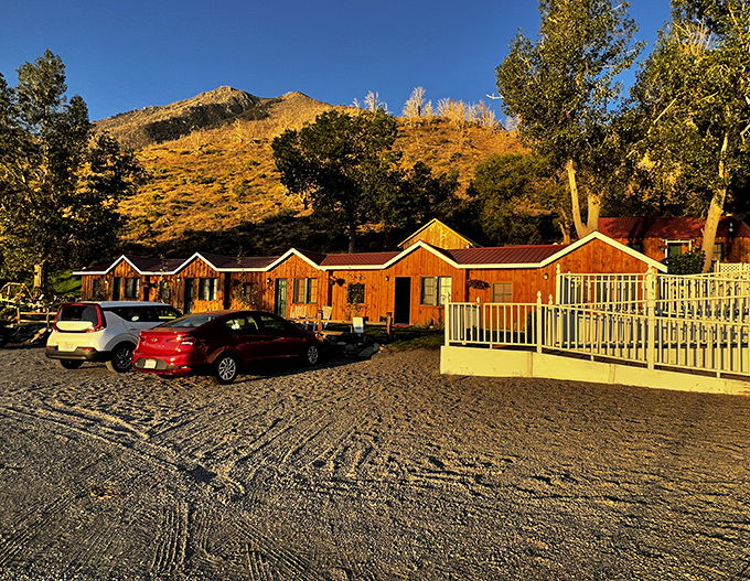 These rustic cabins at Tioga Lodge catch the golden hour light, offering weary travelers a cozy basecamp for Mono Lake adventures.