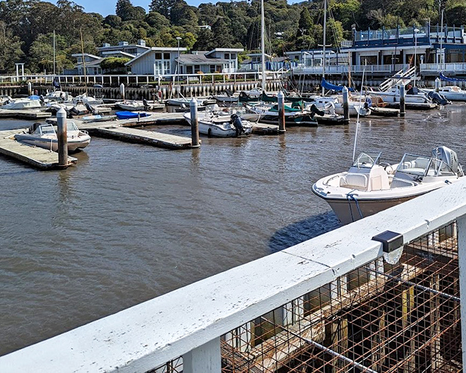 The marina's gentle rhythm of bobbing boats and creaking docks provides the soundtrack to lazy afternoons. Water access is the ultimate amenity here.