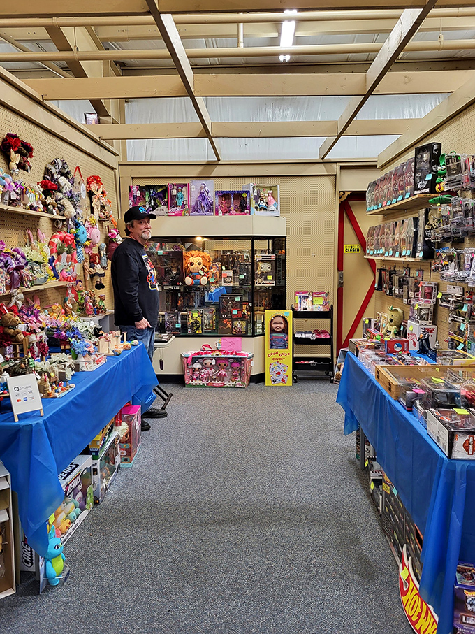 Toy wonderland where childhood memories are stacked floor to ceiling, proving that joy doesn't have an expiration date&mdash;just a reasonable price tag.