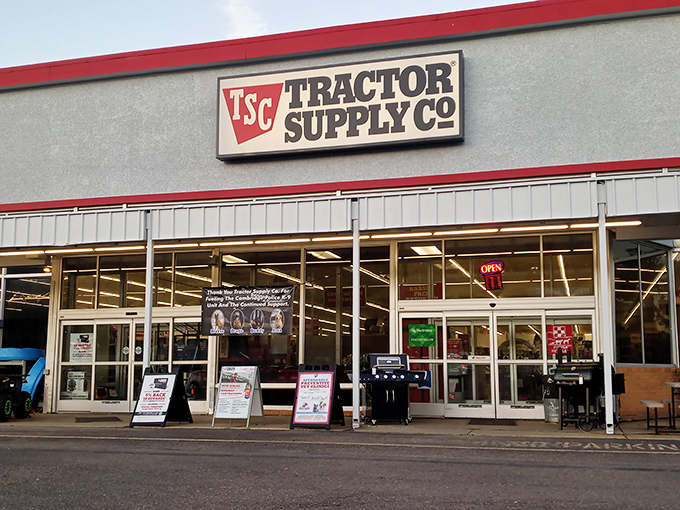 Tractor Supply Co. reflects Cambridge's perfect balance of rural practicality and modern convenience, where you might buy chicken feed one day and a patio set the next.