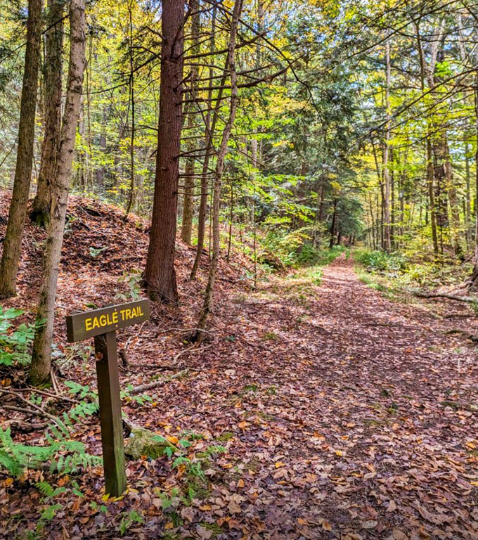 The Eagle Trail beckons with whispers of adventure. Those fallen leaves aren't just nature's carpet&mdash;they're applause for your hiking efforts.