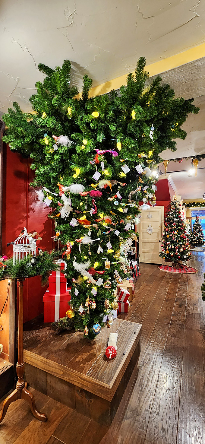 The upside-down Christmas tree tradition gets a spectacular showcase, proving gravity is no match for holiday spirit.