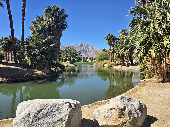 Desert oasis in the truest sense &ndash; where water creates a mirror for mountains and palms, reflecting the surprising diversity of this landscape.