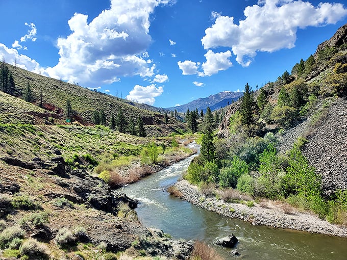 The East Carson River carves its ancient path through the landscape, a silver ribbon threading through nature's tapestry.