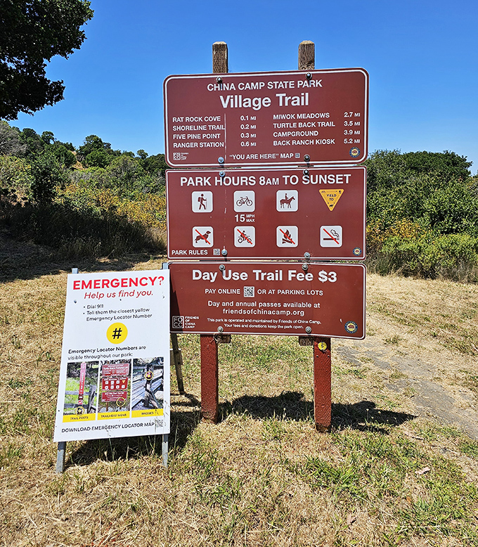 Village Trail &ndash; where the $3 entry fee might be the best investment you'll make all year in your mental health.