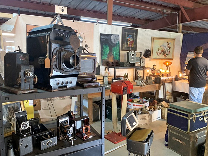 Vintage camera heaven! Before smartphones, these mechanical marvels captured memories on actual film – imagine that!