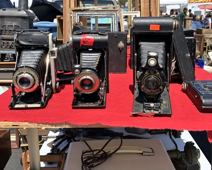 These folding cameras tell stories of photography's past, when capturing a moment required patience, skill, and a bit of mechanical magic. 