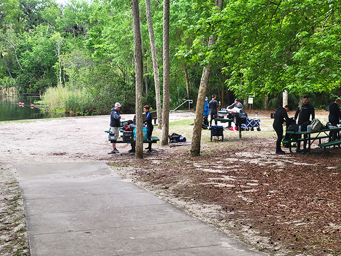 The gathering spot where strangers become friends, united by the universal language of "Can you believe how clear this water is?"