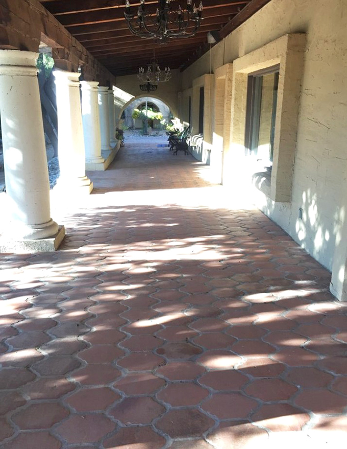 Sun-dappled walkways lead to culinary adventures, proving that sometimes the most memorable journeys begin with the simplest paths.