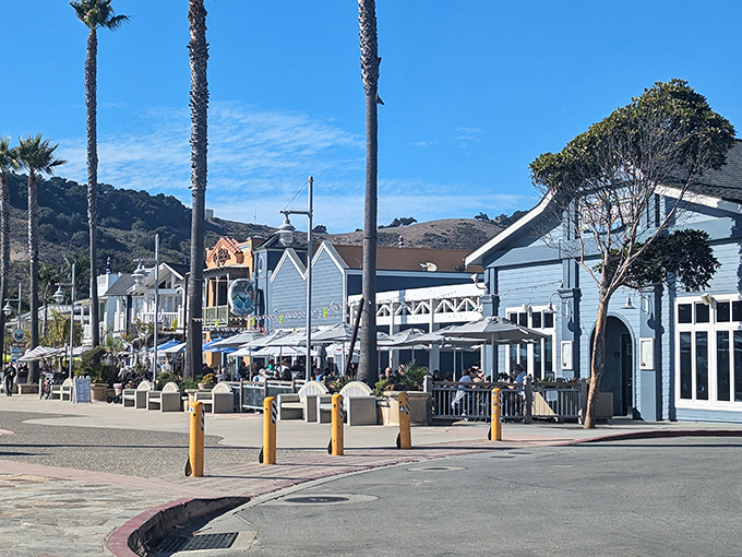 Avila's waterfront buildings line up like a welcoming committee of pastels and palms, promising that stress ends where these sidewalks begin.