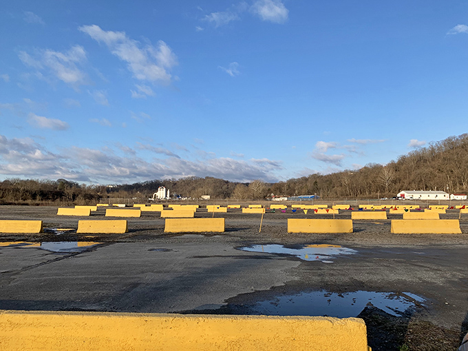 The calm before the bargain storm. These empty parking spaces will soon fill with vehicles carrying hopeful hunters and returning with newfound treasures.