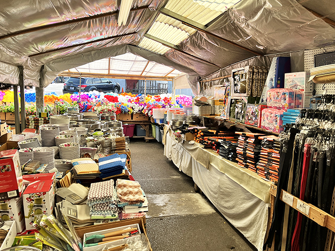 A tent packed with everyday essentials and unexpected finds. The kind of place where you come for one thing and leave with seventeen.