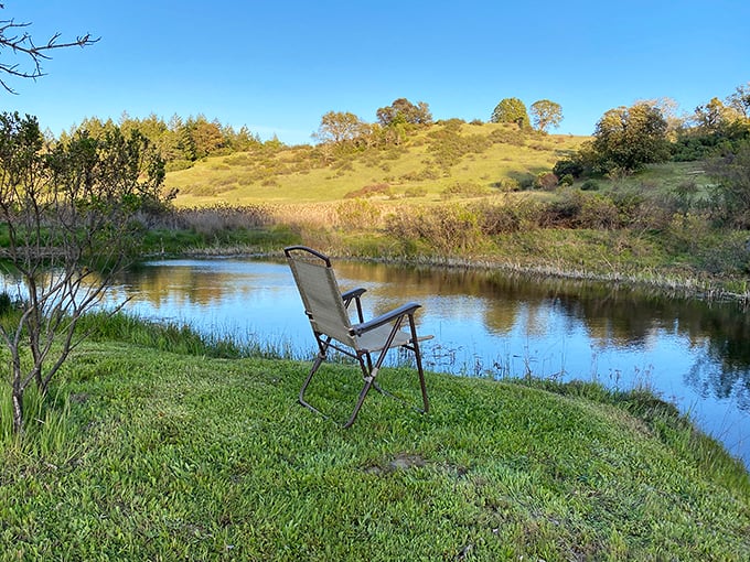 Sometimes the most luxurious amenity in Willits is simply a chair by a pond, where nature provides better entertainment than Netflix.