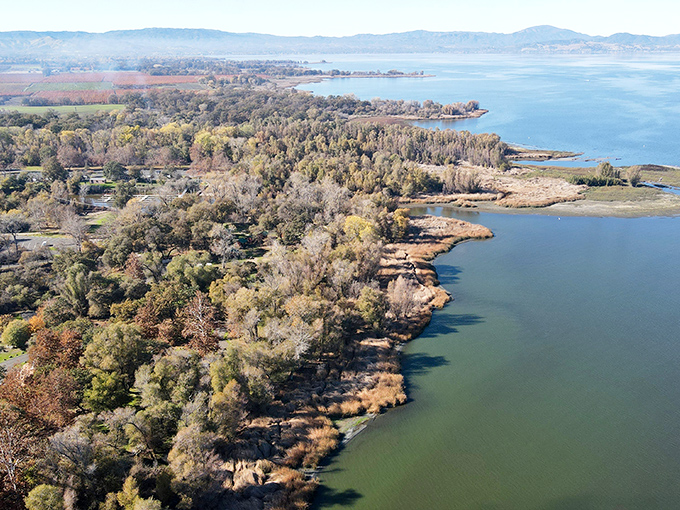 From above, the park reveals its true character&mdash;a perfect patchwork of forest and shoreline embracing California's largest natural freshwater lake.
