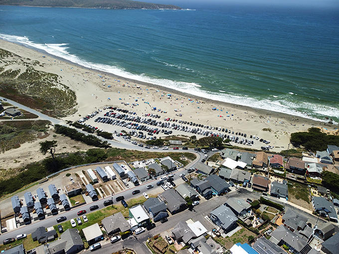 From above, Dillon Beach reveals its perfect horseshoe bay and orderly rows of cars belonging to people who made the right decision today.