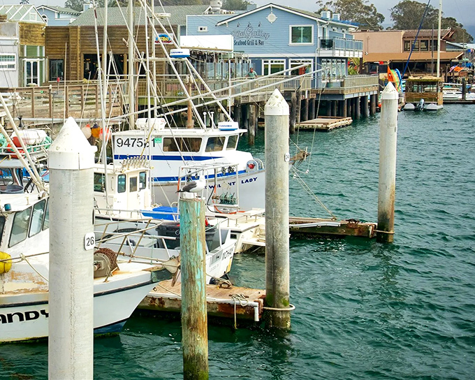 The harbor's gentle waters house fishing vessels that bring their daily catch straight to your plate&mdash;seafood doesn't get fresher unless you're a seal.