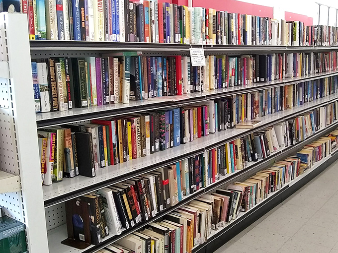 Books create literary mountains where bestsellers mingle with hidden gems, all priced for adventure seekers.