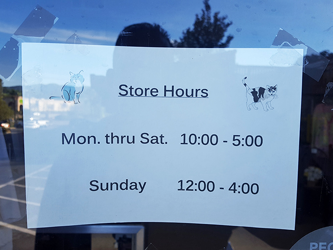 Store hours that respect both early birds and those who believe weekends were made for leisurely browsing. Plan accordingly!