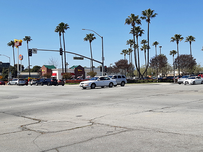 Palm trees stand tall like exclamation points celebrating your savings. California sunshine makes even outlet shopping feel like a glamorous getaway.