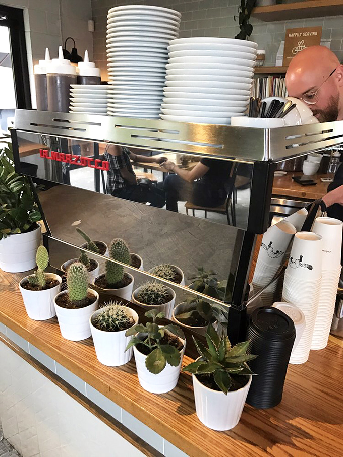 Even the cacti look stylish here&mdash;tiny sentinels guarding the espresso machine in their minimalist white pots.
