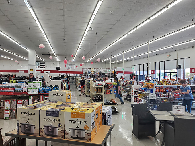 Everyday treasure hunters navigate aisles of possibility. The thrill of discovery keeps these shoppers coming back week after week, season after season.