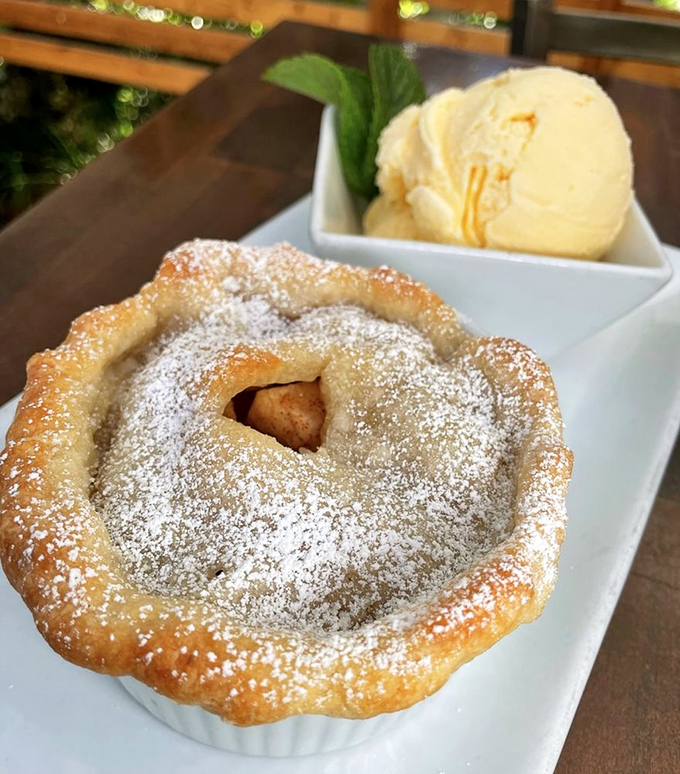 This isn't just dessert&mdash;it's the sweet finale to your barbecue symphony, where warm pie meets cool ice cream in perfect harmony. 