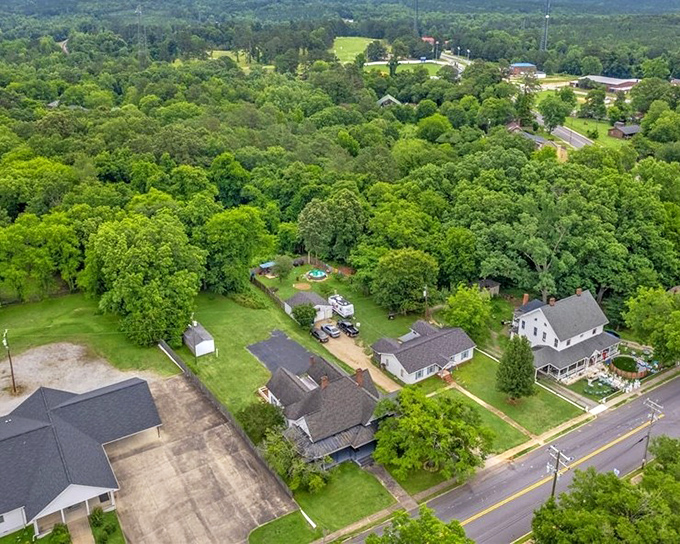 From above, Whitmire's generous tree canopy shelters modest homes where yards aren't status symbols but places for actual living.