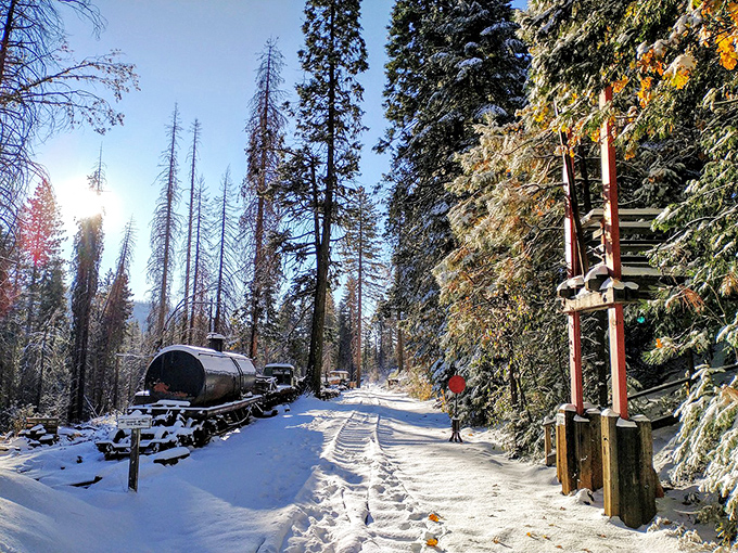 Winter's quiet magic! Snow transforms the railroad into a Narnia-like wonderland where you half-expect to meet a talking beaver offering tea. 
