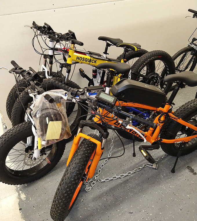 Modern mobility meets bargain hunting! These electric bikes promise adventure and convenience without the dealership markup or complicated financing.