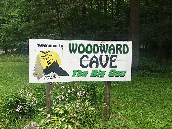 "The Big One" indeed &ndash; this cheerful sign promises adventure while the bats add just enough mystery to pique your curiosity.