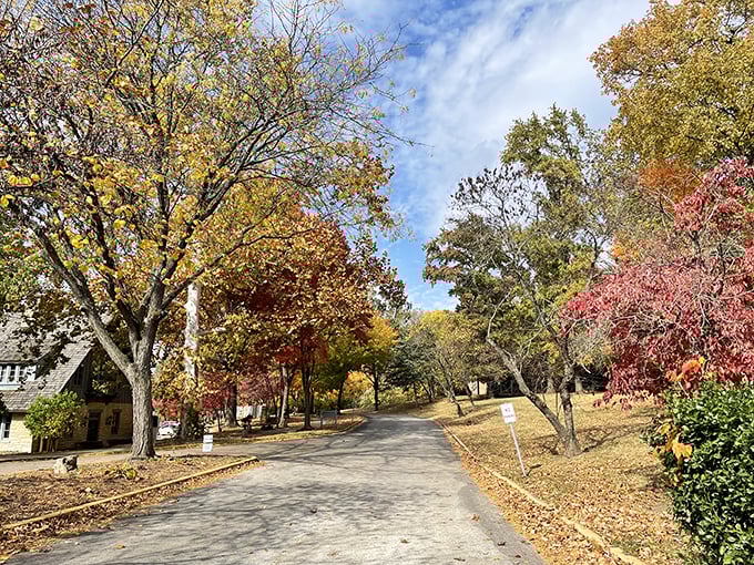 Autumn paints the park entrance with its signature palette. This road doesn't just lead to a destination; it's an invitation to leave everyday worries behind.