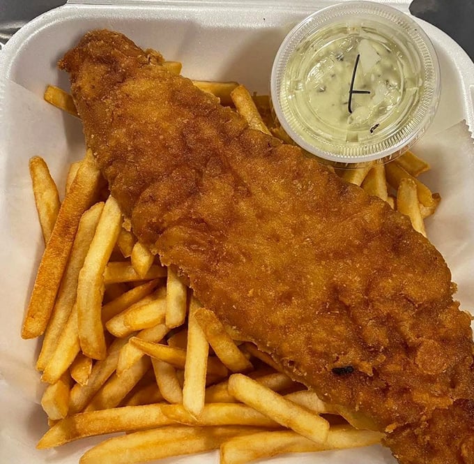 Golden-battered fish resting on a bed of perfectly crisp fries. Some comfort foods transcend trends—this classic has been making people happy for generations.