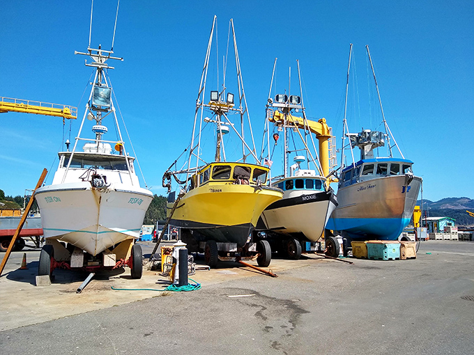 A rainbow of fishing vessels waiting their turn to return to sea&mdash;each boat a floating small business and each color a different captain's personality.