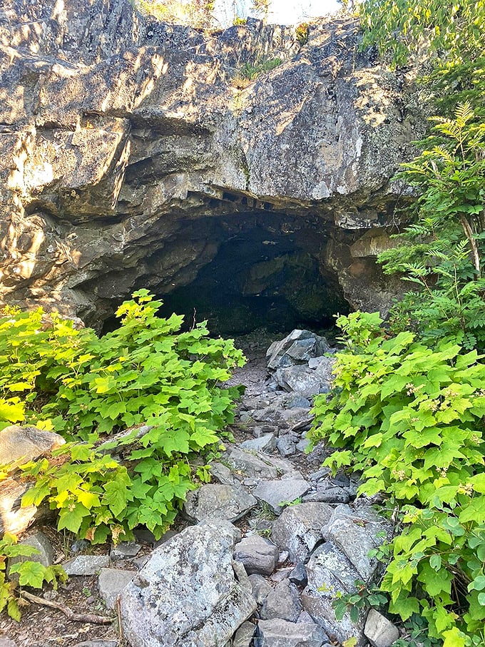 Suzy's Cave beckons explorers with its mysterious entrance&mdash;nature's original fixer-upper with excellent ventilation and unlimited wildlife viewing.