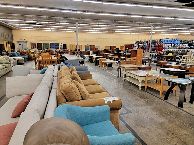 Sofa city, where gently-used seating options stretch as far as the eye can see. That blue armchair is practically begging to become someone's favorite reading spot.