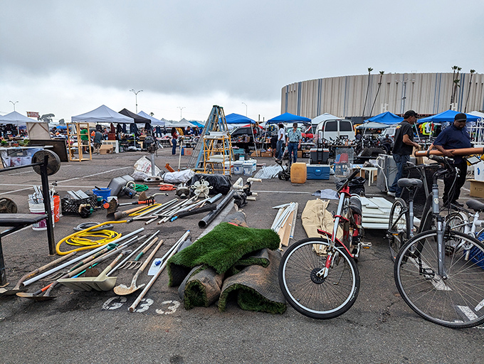The handyman's dream buffet. From garden tools to bicycles, this spread of practical treasures proves that one person's "clearing out the garage" is another's jackpot.