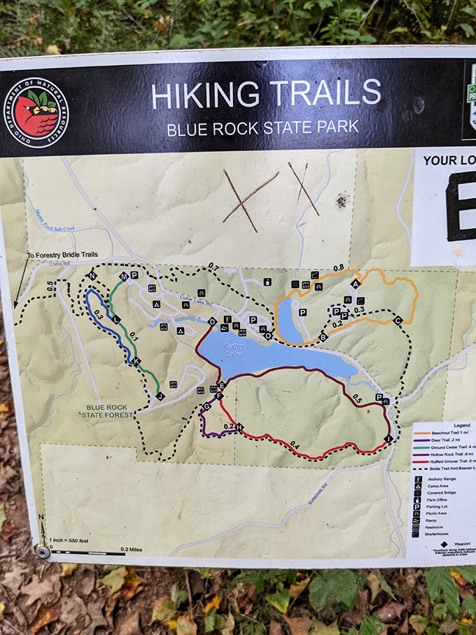 The trail map that separates the "let's wing it" hikers from the planners. Either way, adventure awaits at every colored line.