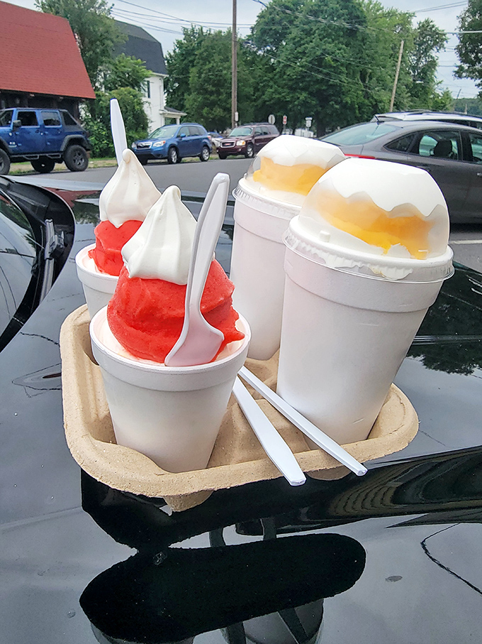Summer's perfect antidote comes in these cups of frozen delight, where happiness costs less than what you'd tip for parking in Philadelphia.